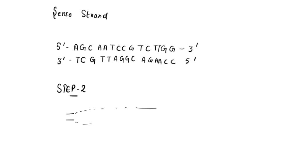 SOLVED: EXERCISE 8 MAKING PROTEINS Work with a partner to complete this ...