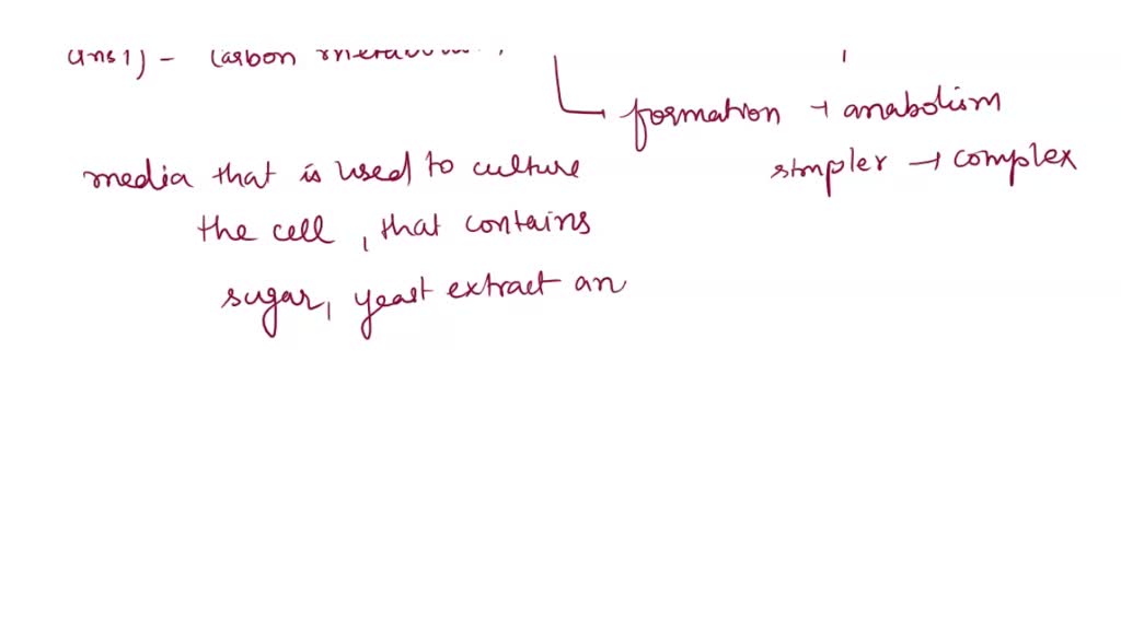 SOLVED: complete sentences, describe what is happening LO your DNA in a ...