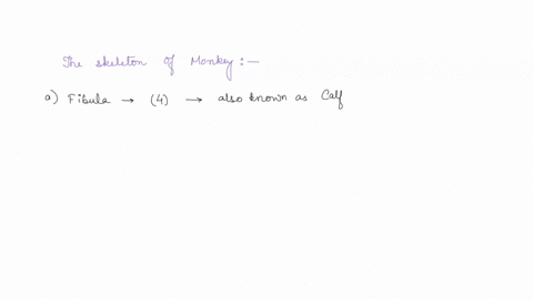 Describe and find images for micrococcus luteus and bacillus...