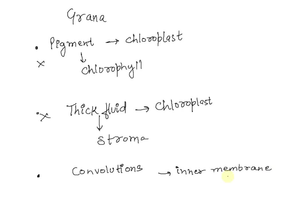 SOLVED: What are grana? stacks of membranous sacs in chloroplasts ...