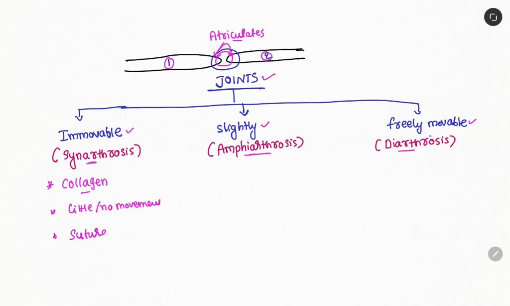 SOLVED: which term means movement deceasing angle between two adjoining ...