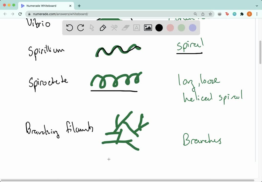 SOLVED: Drag the images to their corresponding class to test your ...