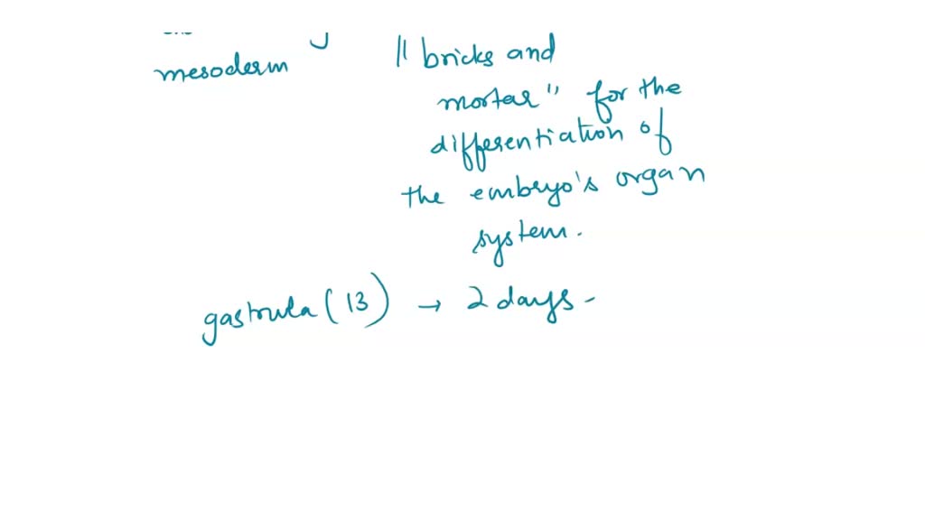 SOLVED: 5. Label the three embryonic germ layers on the diagrams of the ...