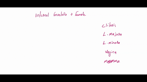 the uterus cervix and fallopian tubes are part of which structure ...