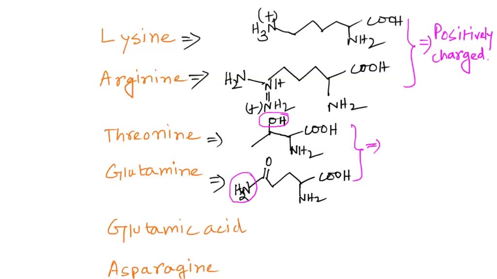 SOLVED: 'Which statement is FALSE about the classification of amino ...