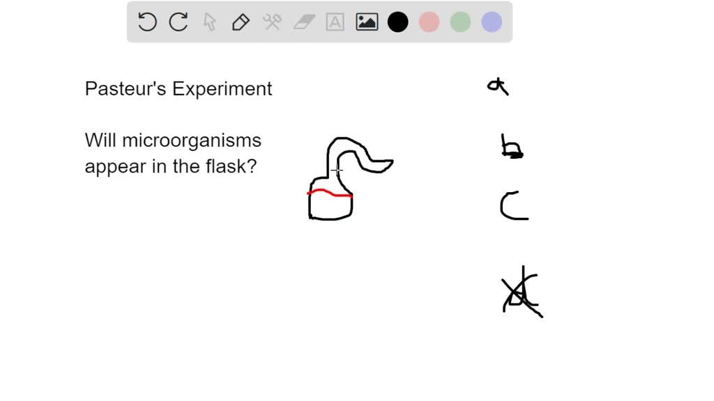 SOLVED: The experiment by Pasteur involving the swan-neck and open ...