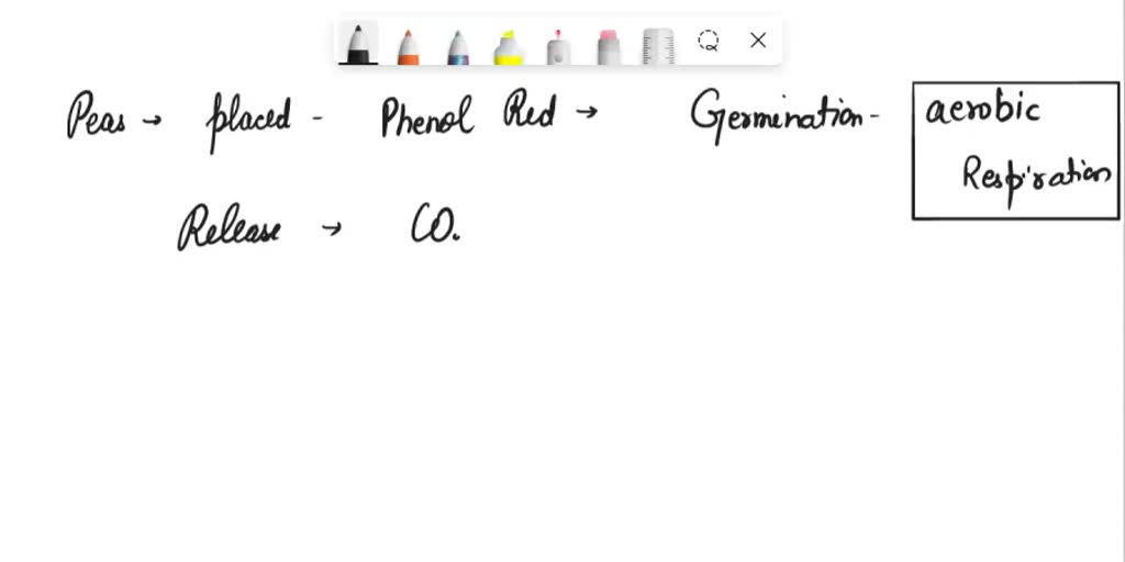 Describe what caused the color change in the phenol red using peas ...