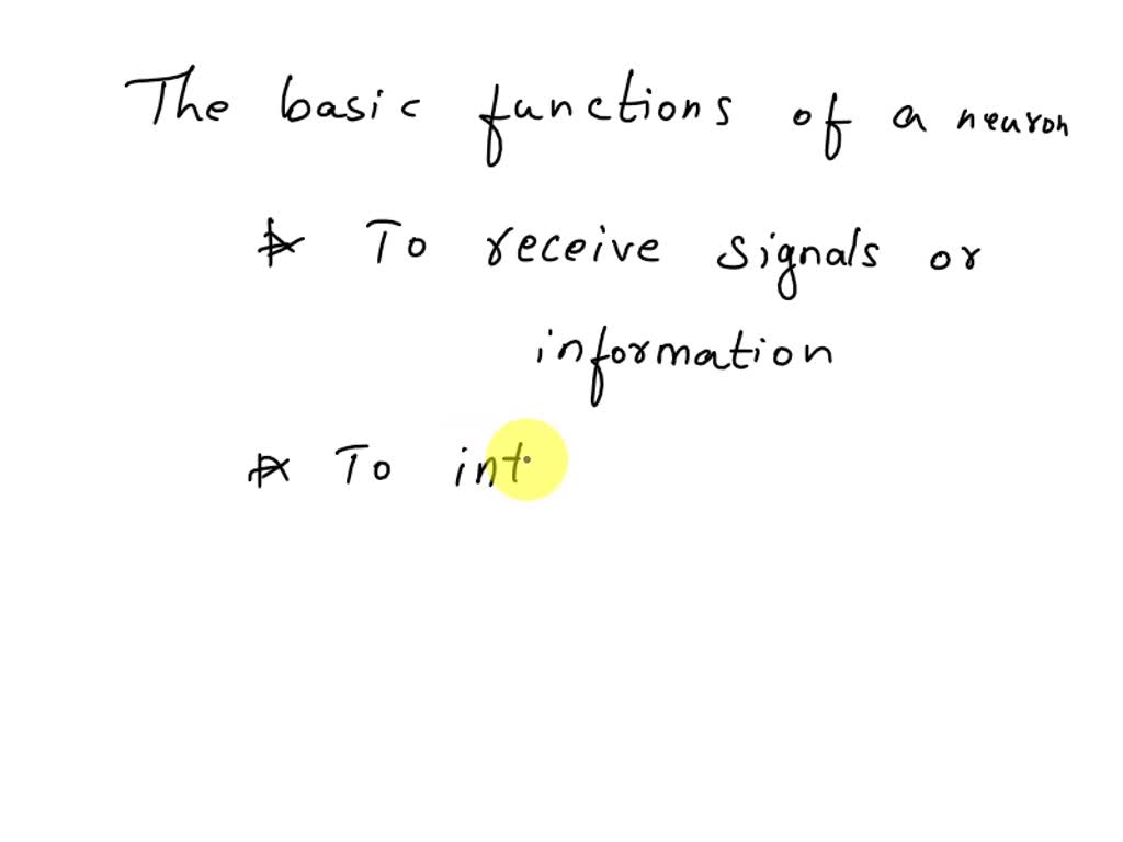 Solved Could You Explain What A Neuron Is Could You Name The Various Functions Of A Neuron