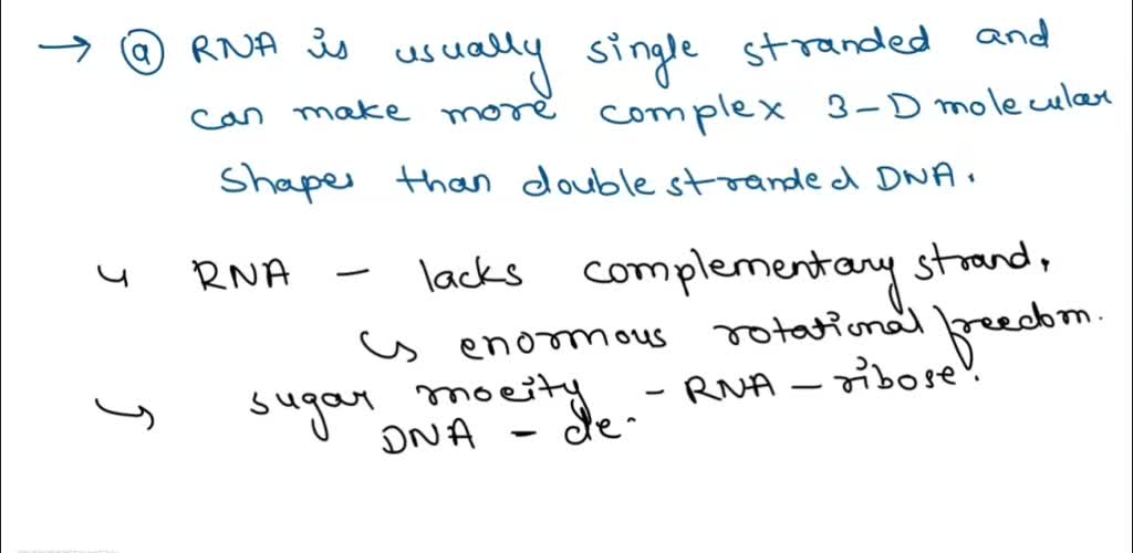 SOLVED:RNA rather than DNA is thought tc be the first genetic material ...