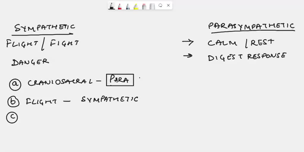 SOLVED: 1O Mark each of the following as an effect of the sympathetic ...