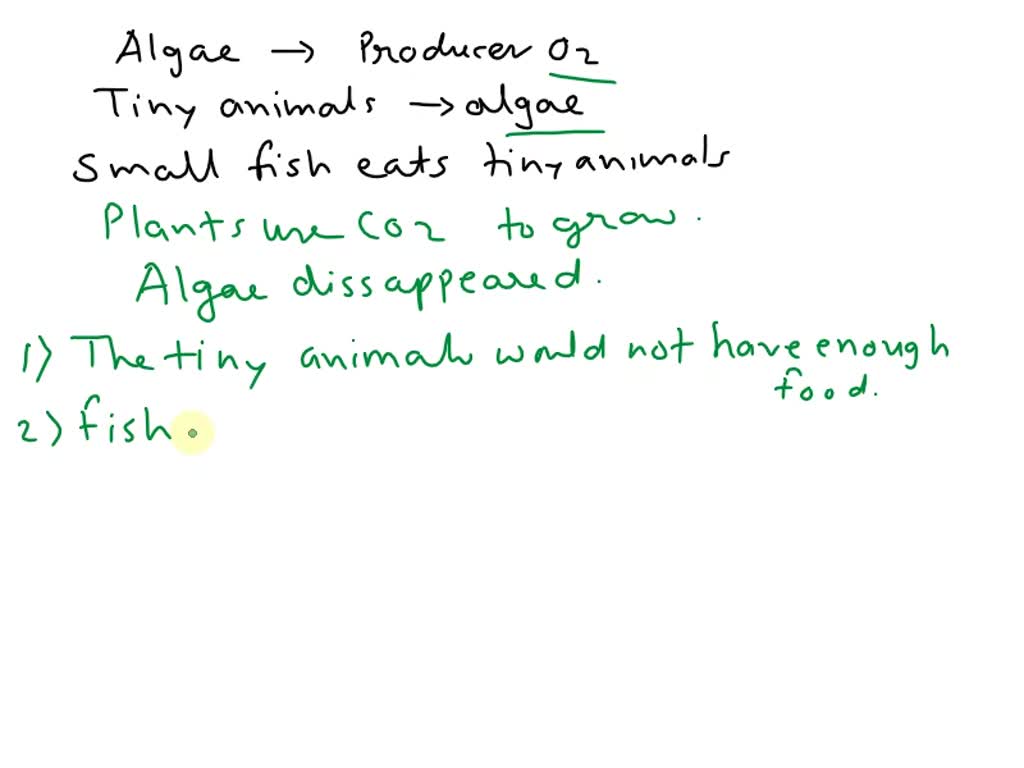 SOLVED: In a lake ecosystem, sunlight that reaches the water helps ...