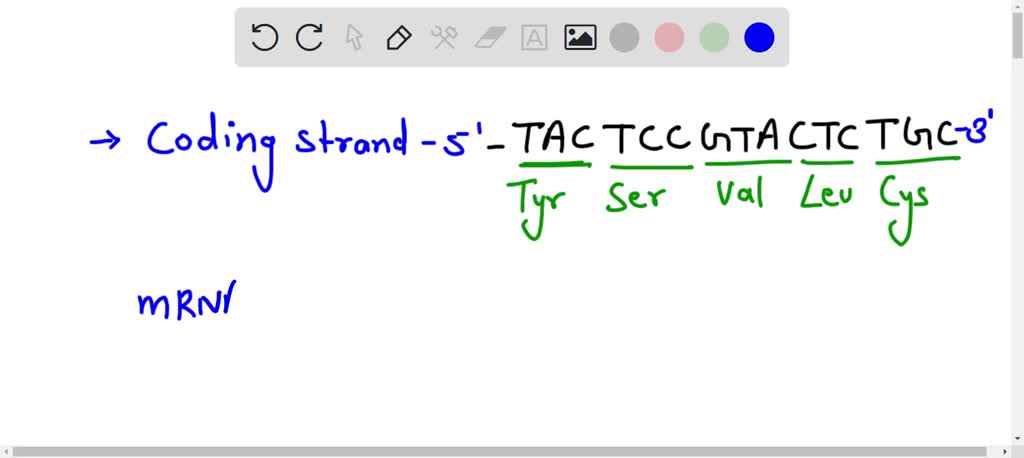 SOLVED: "3 In the DNA segment 5'-ATGAGGCATGAGACG-3' (coding strand) 3'-TACTCCGTACTCTGC-5 ...