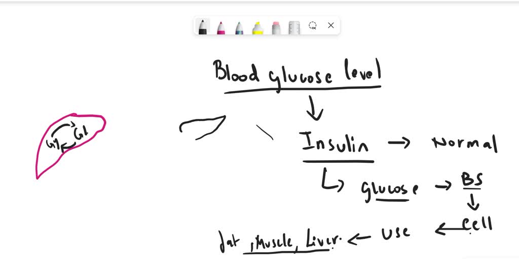 SOLVED: Place the following pathway in the correct order blood glucose ...