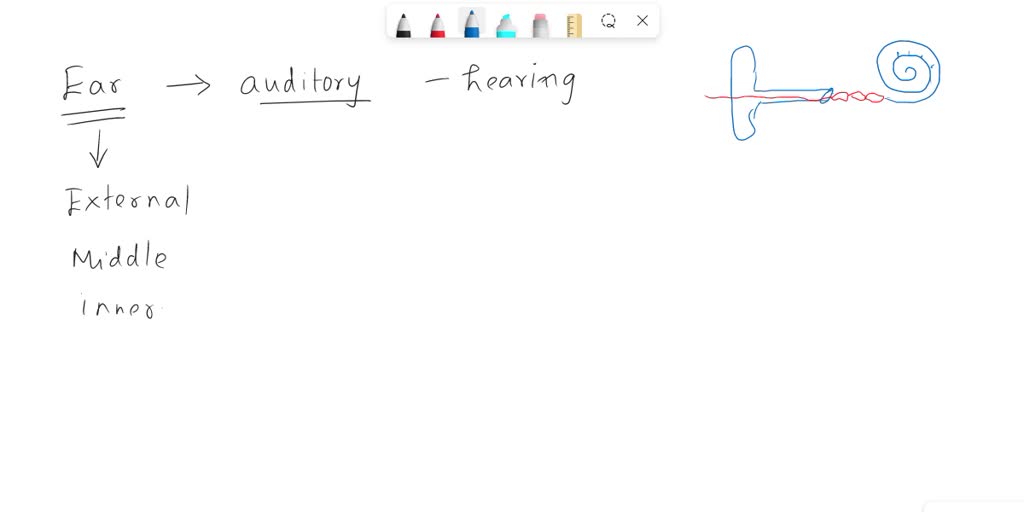 SOLVED: Hair cells in the cochlea connect with fibers from the auditory nerve to perform what ...