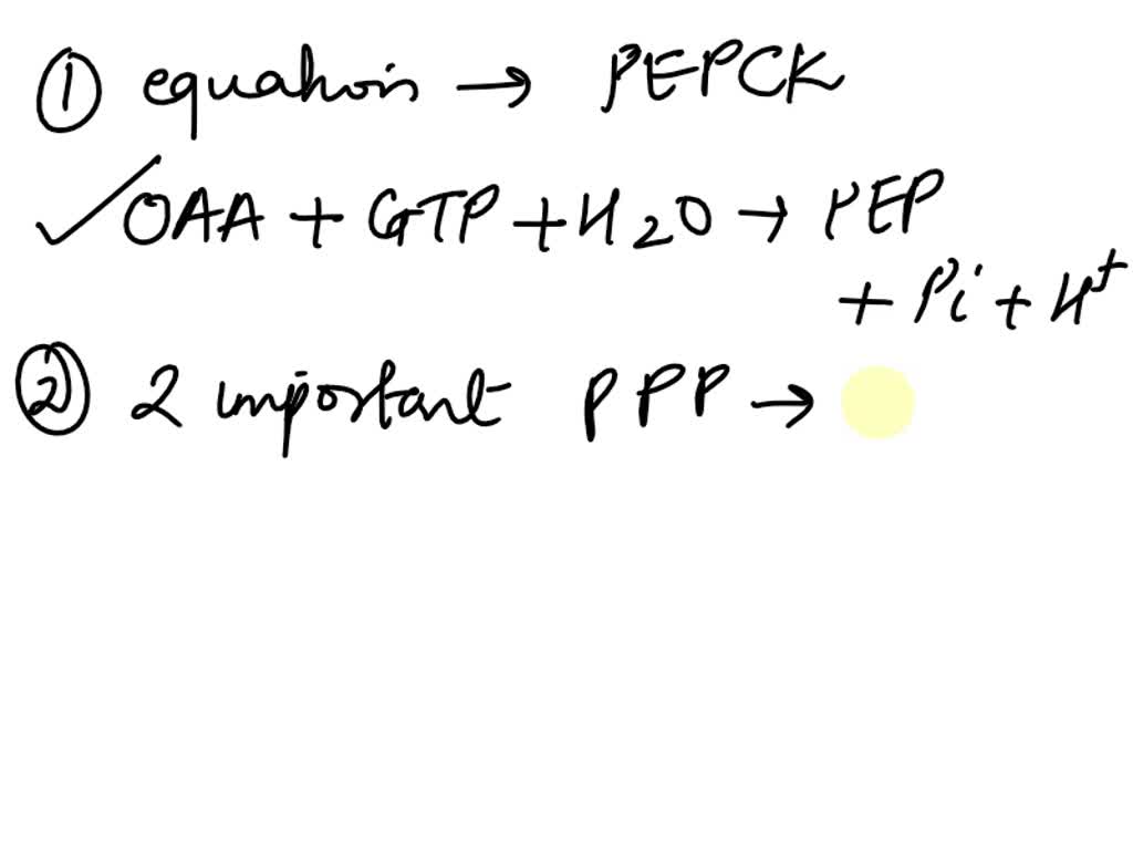 SOLVED: (a) Write a balanced equation for the reaction catalyzed by ...