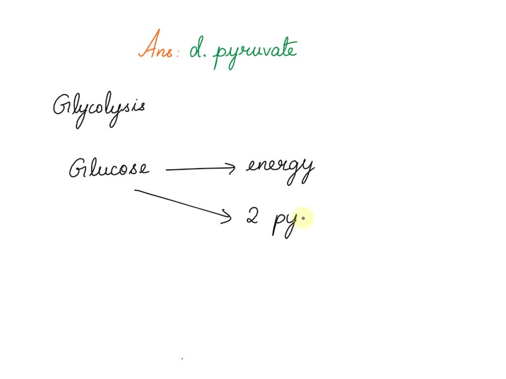 SOLVED: The glucose that enters the glycolysis pathway is split into two molecules of . a. ATP b ...