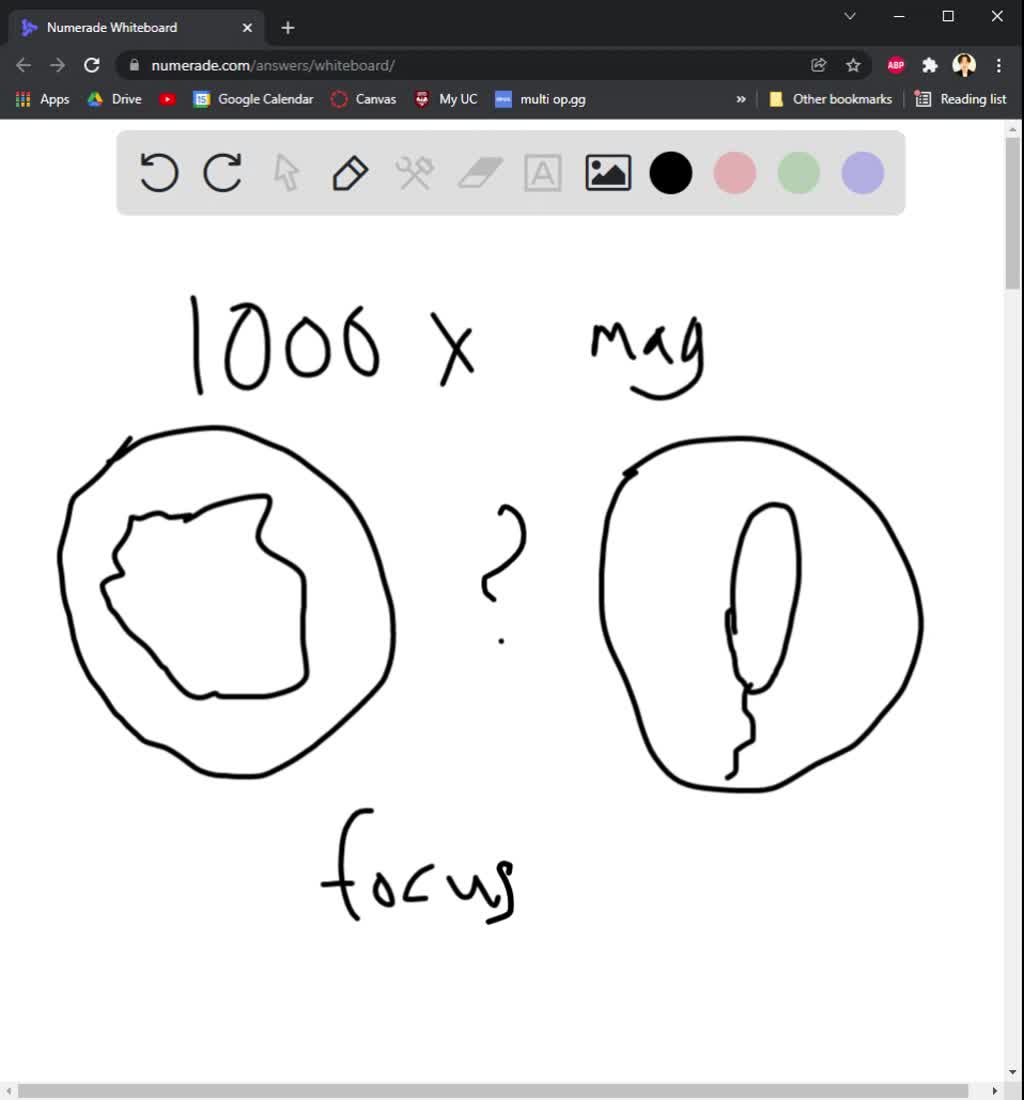 SOLVED: Two microscopes are both set at 1000X magnification. Looking on ...