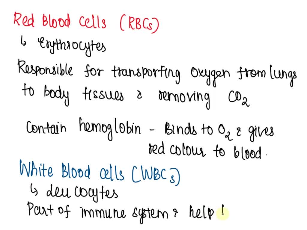 VIDEO solution: what is the difference between RBC and WBC any 10 ...