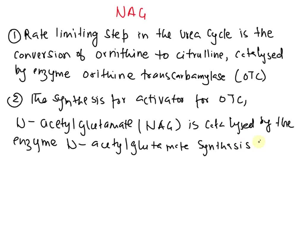 SOLVED: The rate-limiting step of the urea cycle requires an activator ...