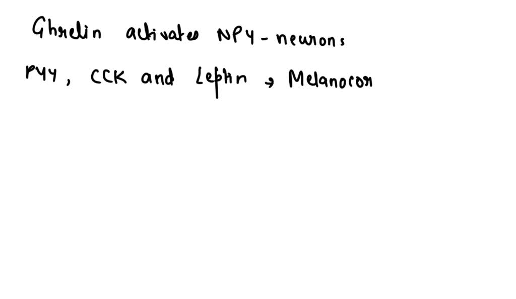 Solved Select Whether The Hormone Activates Melanocortin Secreting