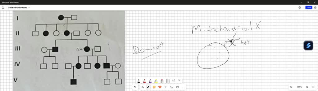 SOLVED: The inheritance of a genetic disease in a family is illustrated ...
