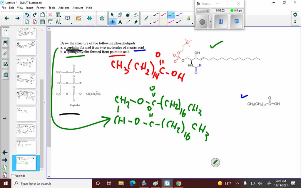 SOLVED: Draw the structure of these phospholipids:- a cephalin formed ...