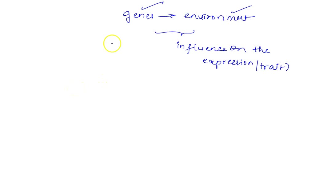 SOLVED: For the following experiments, explain each number's (1-5 ...