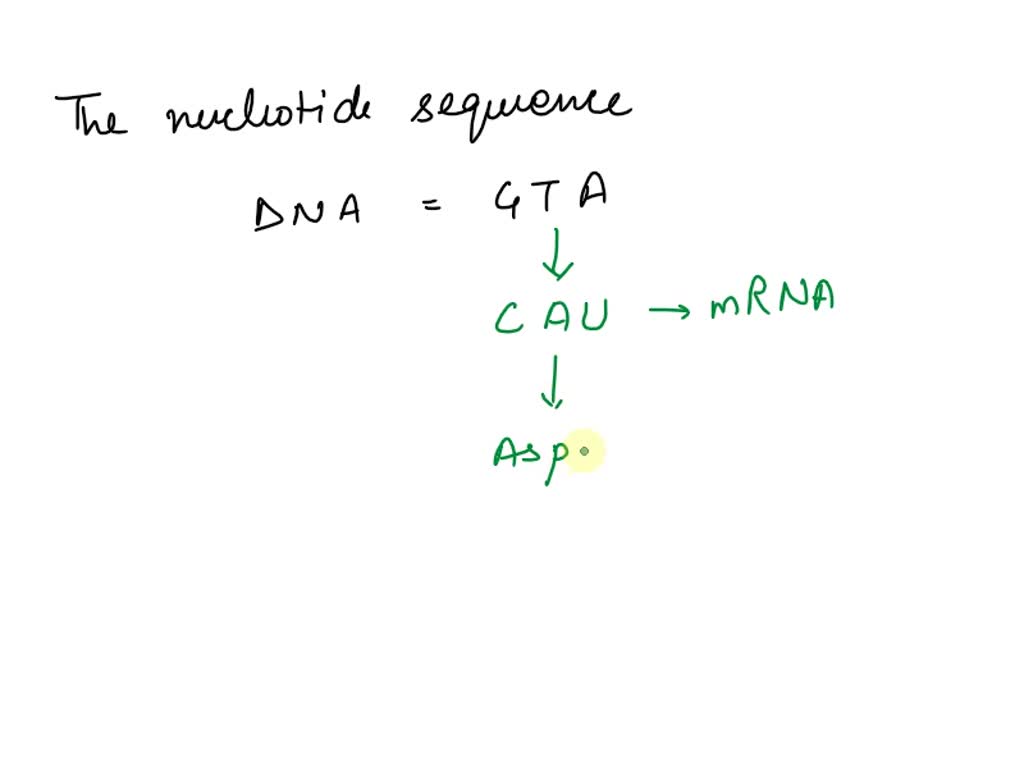 SOLVED: The nucleotide sequence of a DNA codon is GTA. A messenger RNA molecule with a ...