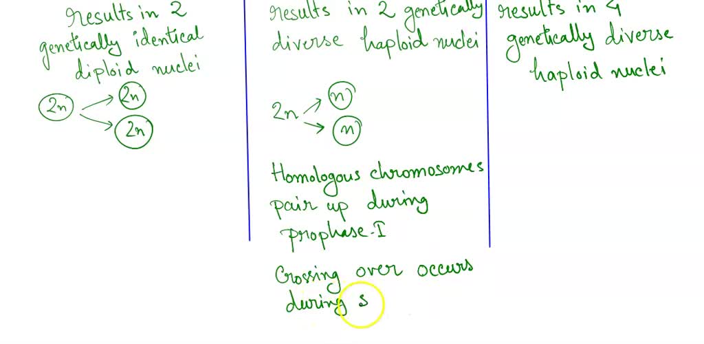 SOLVED: Mitosis, meiosis I, and meiosis II Classify the following characteristics depending on ...