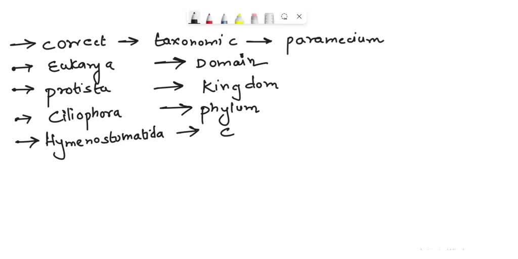 SOLVED: If you wanted to add a column for the protist species Amoeba ...