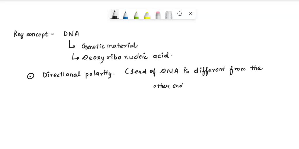 SOLVED: Question 42 (2 points) What does it mean when we say that a DNA ...