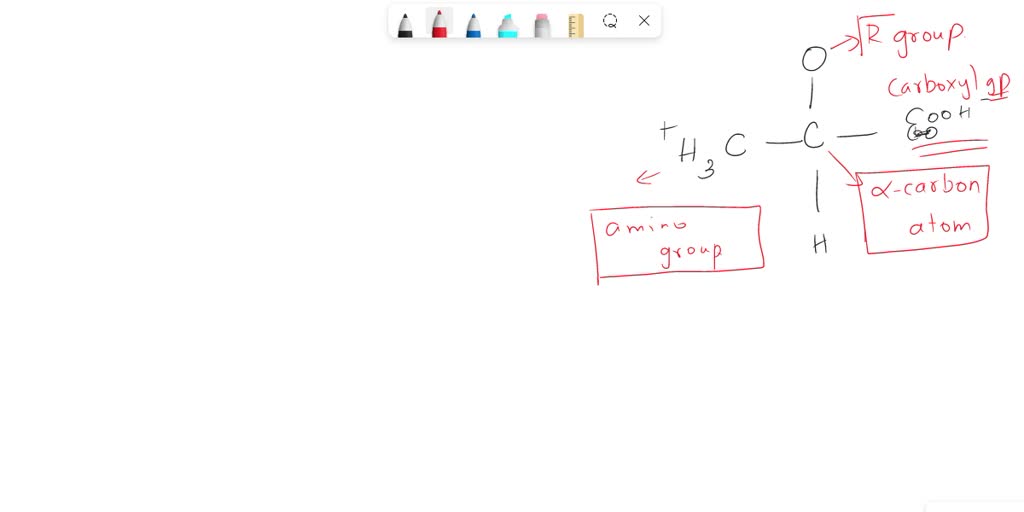 SOLVED: 'Using the drop-down menus, label the parts of an amino acid ...