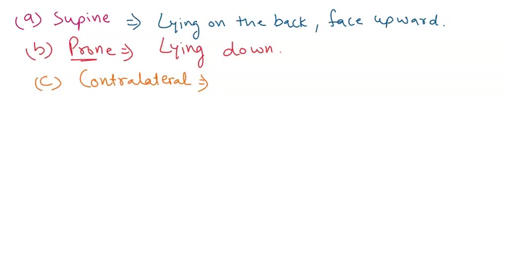 Gravitation of barium with patient position: UGI: LPO, RAO, AP, Prone ...