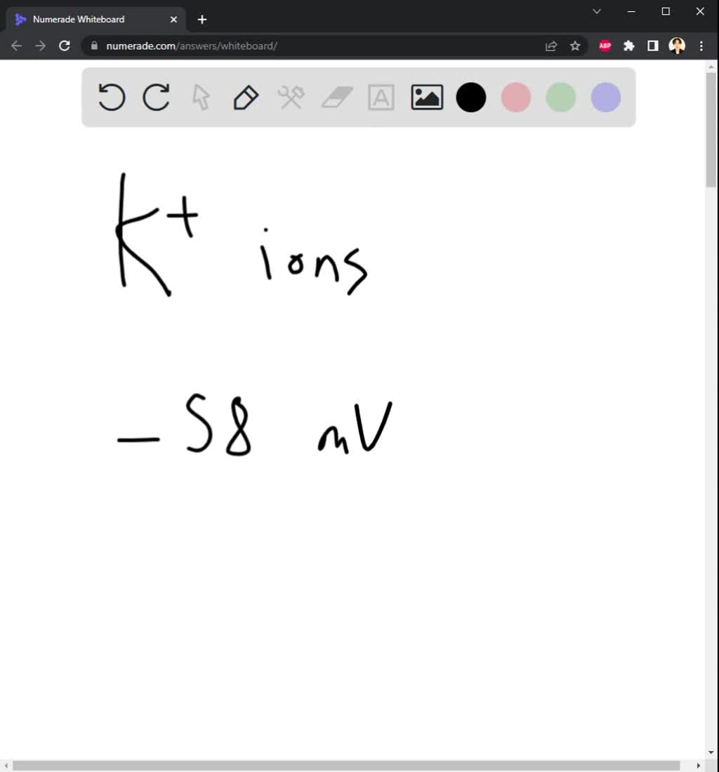 SOLVED: Consider a hypothetical cell that contains both Cl- and K+ ...