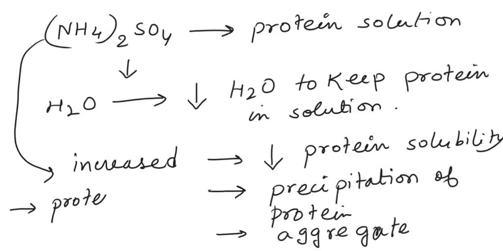 SOLVED: Please explain why the addition of ammonium sulfate can ...