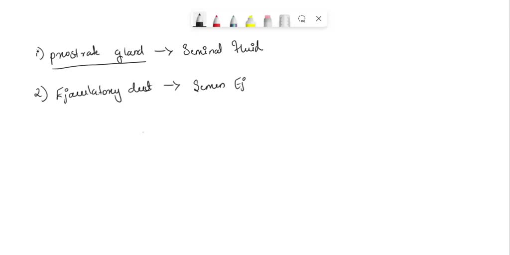 SOLVED: Identify the structure labeled 3 Fill in the blank ldentify the ... SOLVED: Identify the structure labeled 3 Fill in the blank ldentify the ...