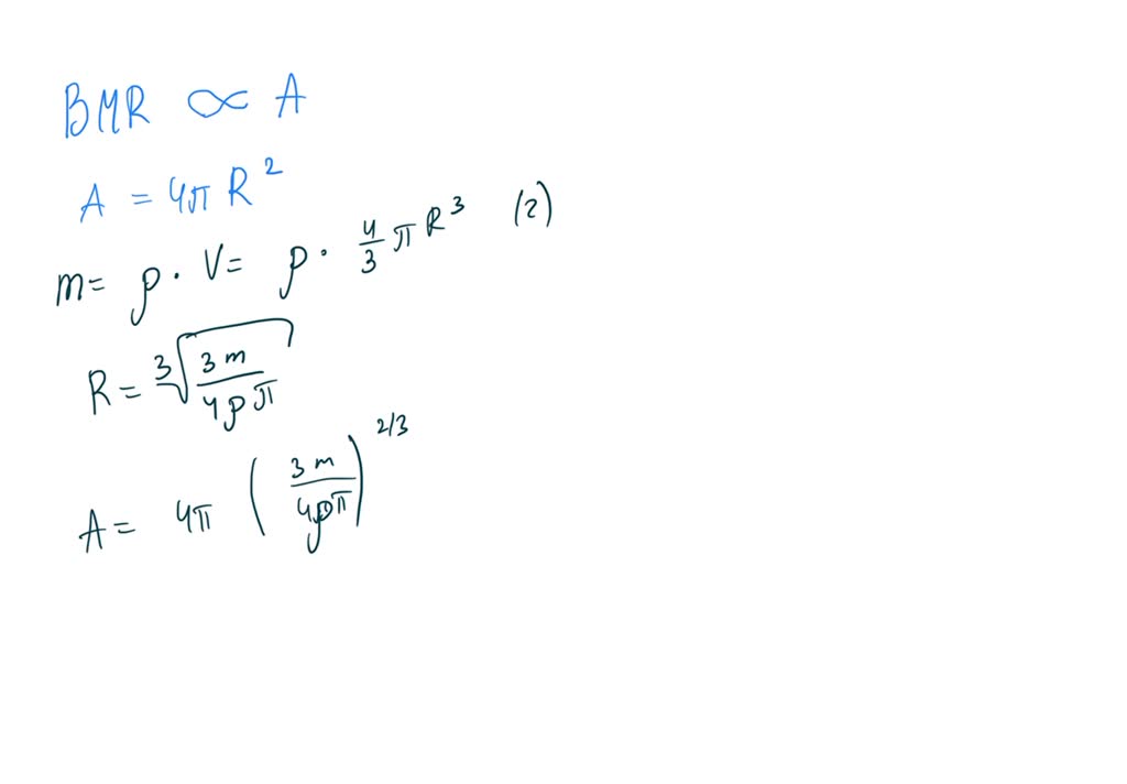 SOLVED: A simple model suggests that BMR is proportional to the surface ...