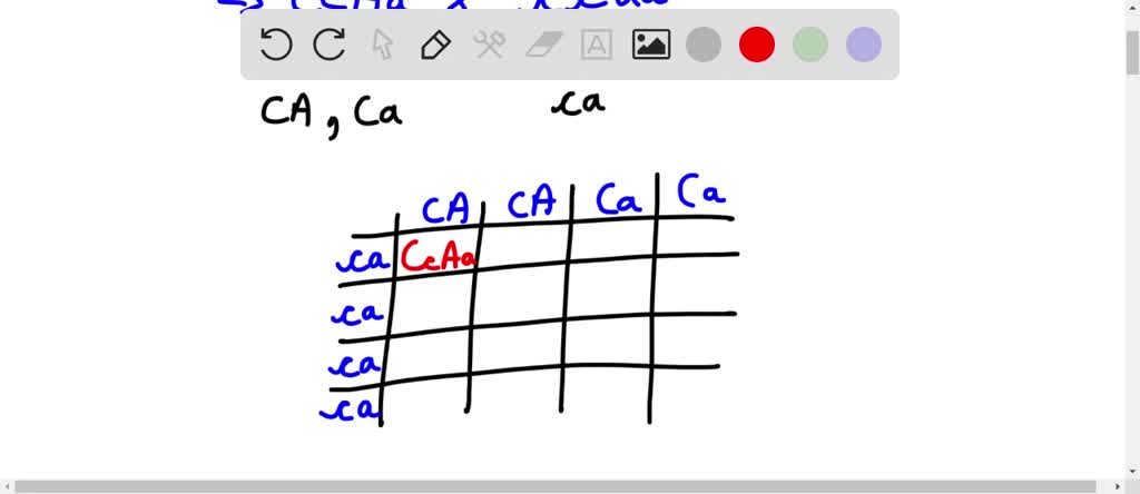 SOLVED: Question 8 (1 point) In Labrador retrievers, the recessive ...