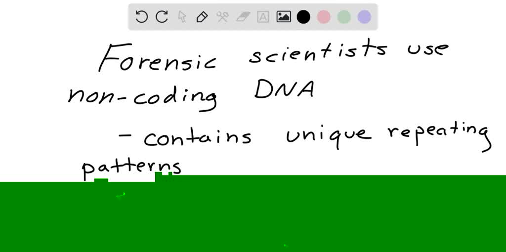 SOLVED: In a criminal investigation is a forensic scientist more likely to use noncoding regions ...