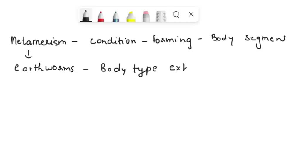 SOLVED: What is metamerism? Compare the metamerism we see in earthworms ...