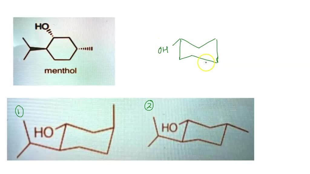 SOLVED: 'Which is the proper chair conformation of menthol? HO; menthol'