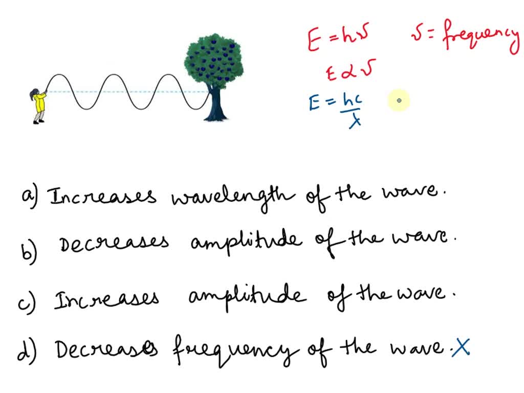 'Mackenzie creates a transverse wave using a rope tied to a tree, as ...