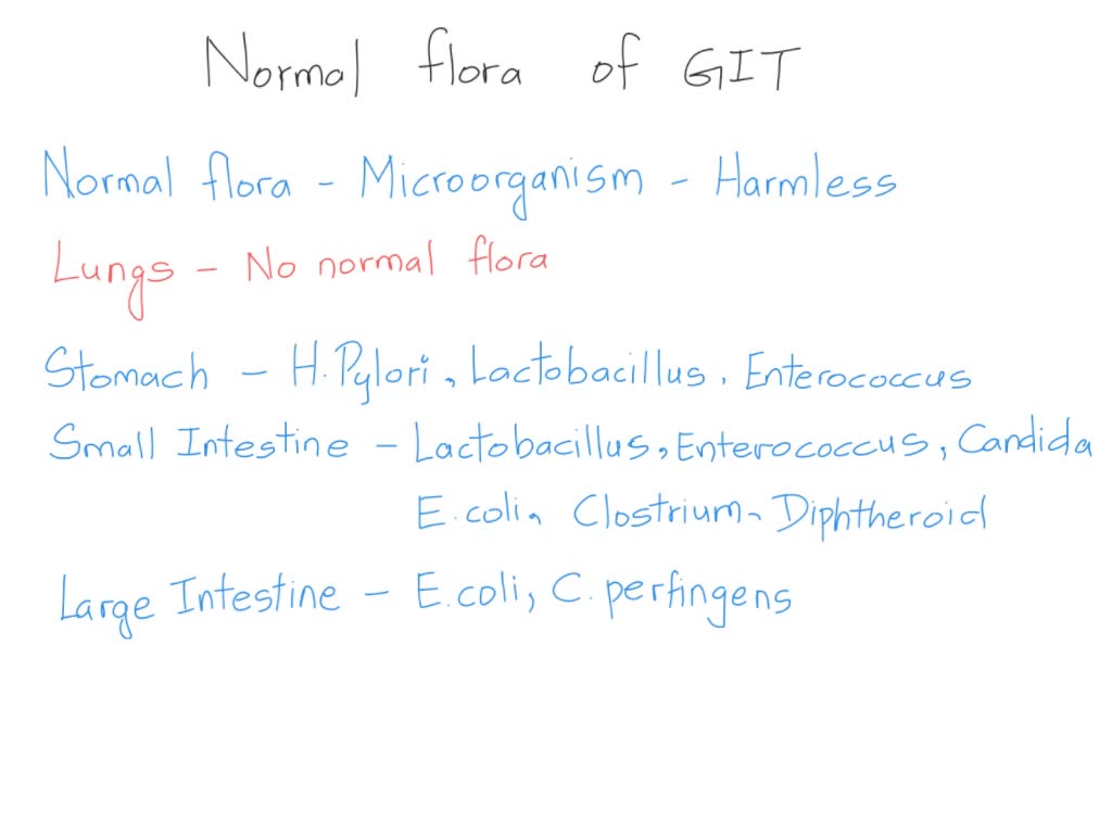 SOLVED: Review Questions: "Pathogenic Microorganisms of the ...