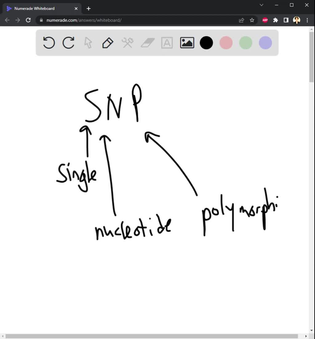SOLVED: What is a snp? answer a computer chip that recognizes ...