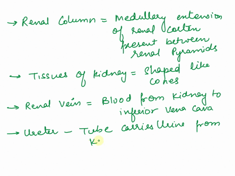 Drag and drop the labels to identify the structures of the...