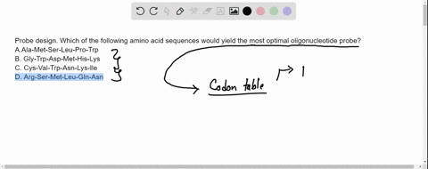 SOLVED: Which amino acid sequence would yield the most Optimal ...