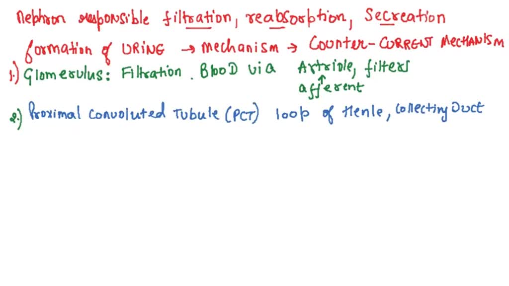 SOLVED: 'Label the image below to identify the two types of nephrons and associated structures ...