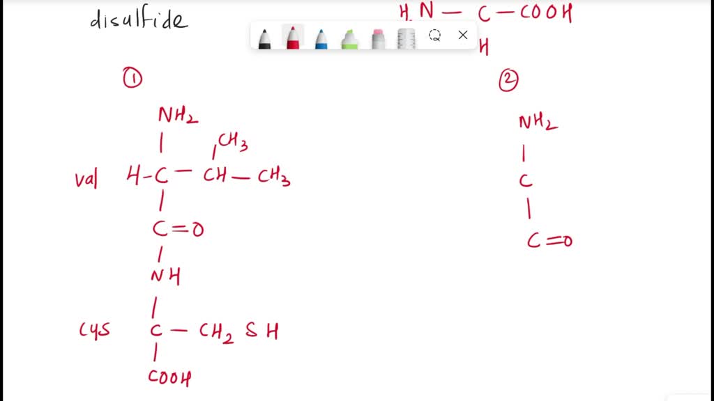 SOLVED: Draw the structures of the following two oligopeptides with ...