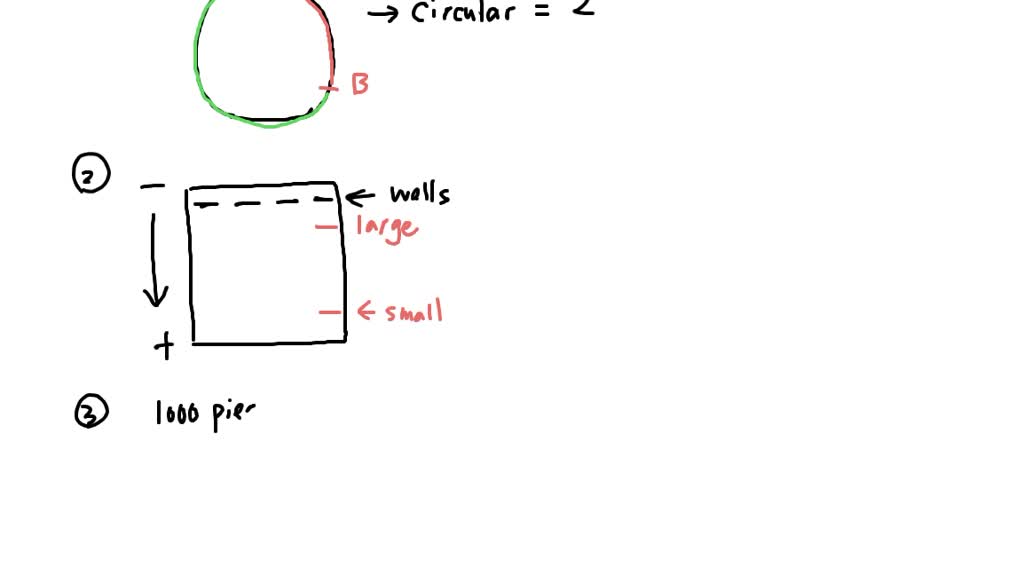 SOLVED: A DNA restriction enzyme maps of Lambda DNA cut with EcoR1 and HindIII. the vertical ...