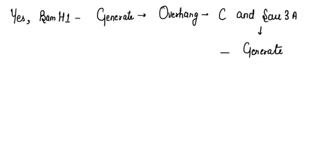SOLVED: The restriction enzymes BamHI and HaeIII cleave the sequences ...